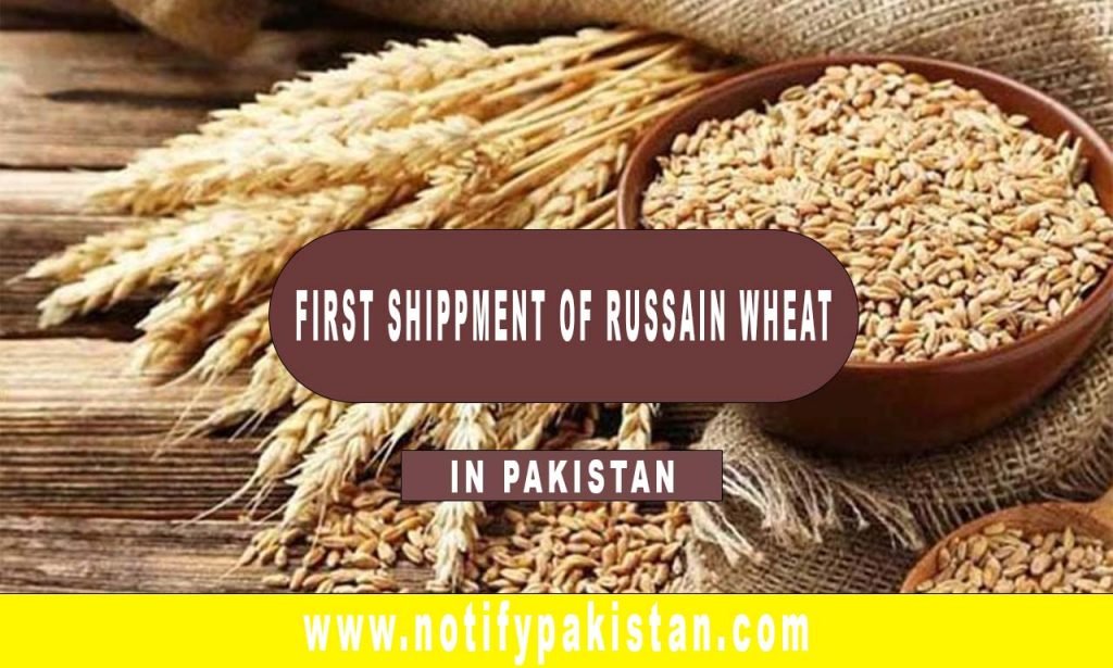 Karachi Welcomes The First Shipment of Russian Wheat in2023 - Notify ...